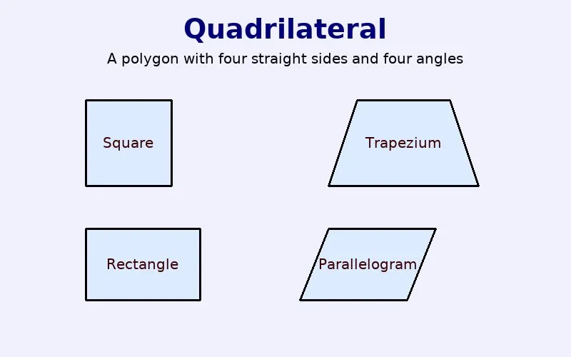 Quadrilateral | Gamatrain